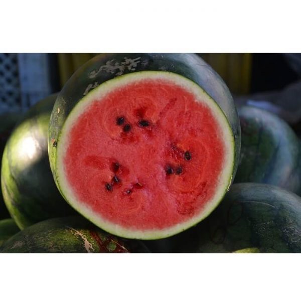 Black Diamond Watermelon Seeds, Vegetable Seeds#020 – Rooted Retreat