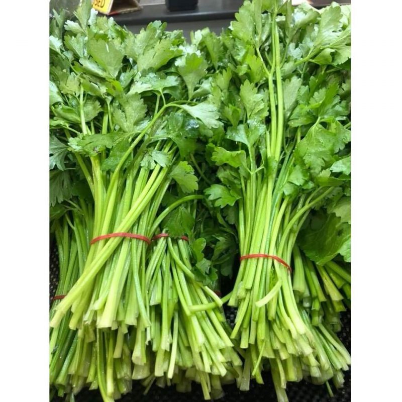 Kinchay Catmon Seeds, Vegetable Seeds#022 – Rooted Retreat