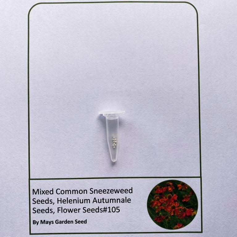 Mixed Common Sneezeweed Seeds, Helenium Autumnale Seeds, Flower Seeds ...