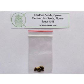 Cardoon Seeds, Cynara Cardunculus Seeds, Flower Seeds#148 – Rooted Retreat