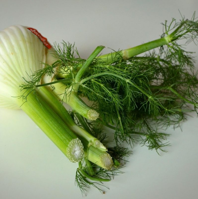 Sweet Fennel Seeds Herb Seeds021 Rooted Retreat