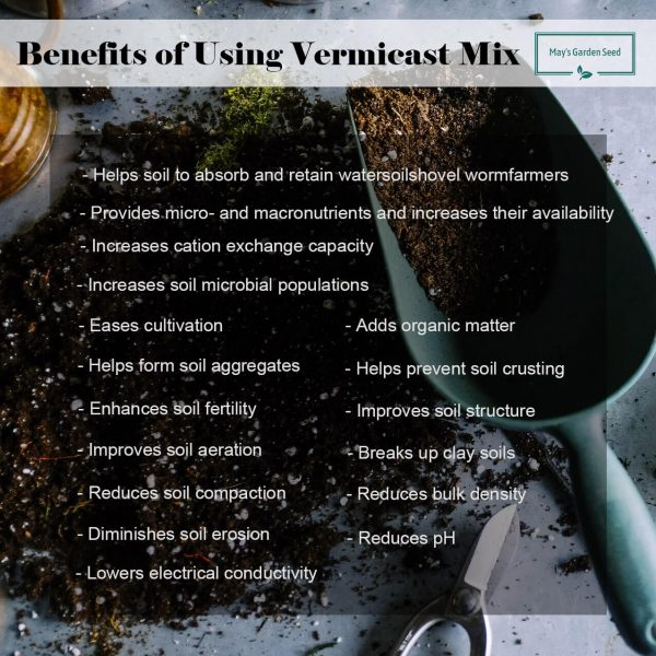 Organic Pure Vermicast, Perfect For Any Potted Plant, 500g – Rooted Retreat