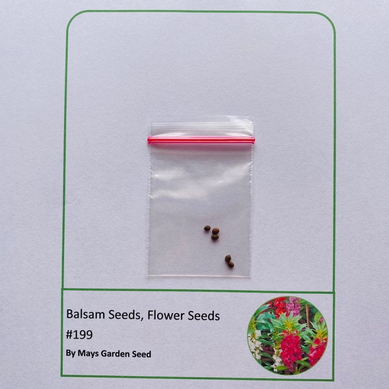 Mixed Balsam Seeds, Impatiens Balsamina Seeds, Flower Seeds#199 ...